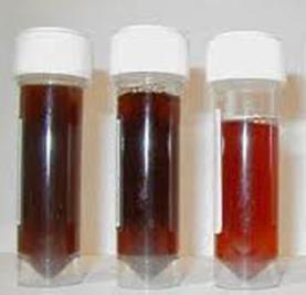 Post Parturient Haemoglobinuria | Farmers' Corner